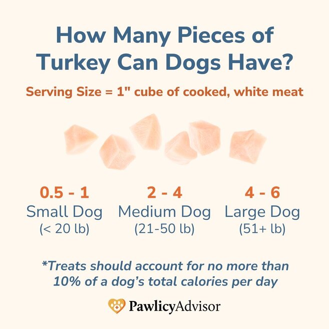 Turkey For Dogs: A Holiday Treat or Hidden Danger? | Pawlicy Advisor