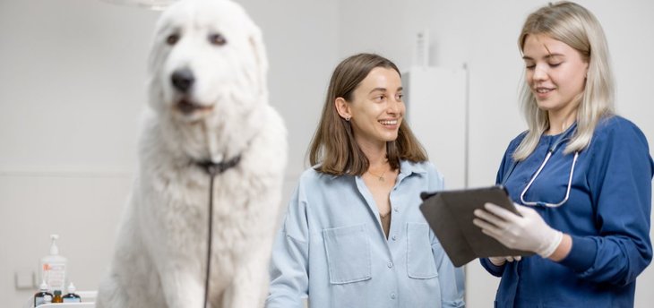 6 Things Doctors Say To Do At Your Next Vet Appointment | Pawlicy Advisor