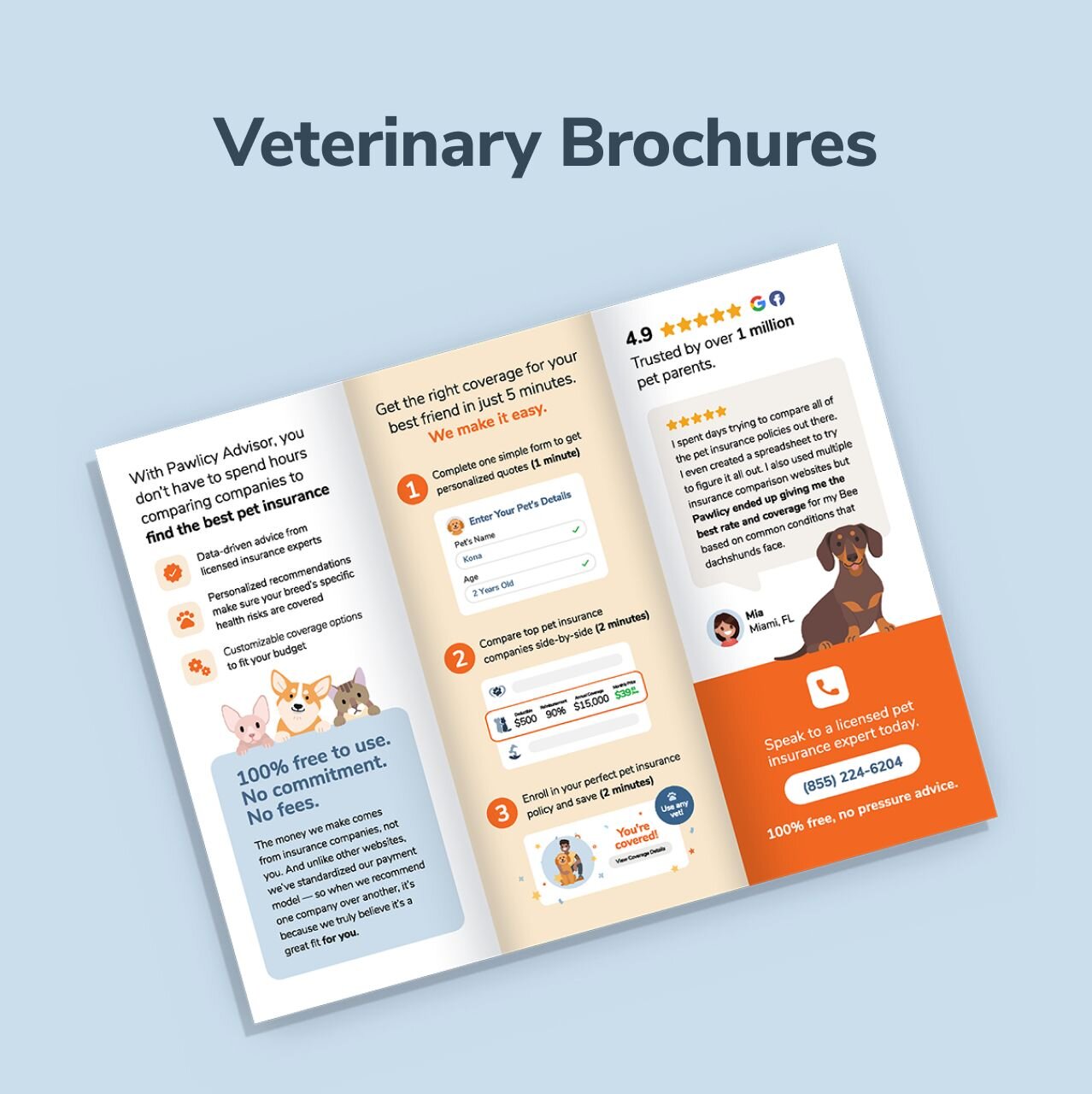 Veterinary Client Education | Brochures, Social Media, Posters, PDFs ...