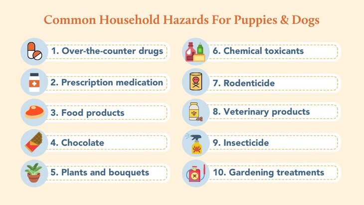 5 Veterinary Bulletin Board Ideas To Try In Your Office | Pawlicy Advisor