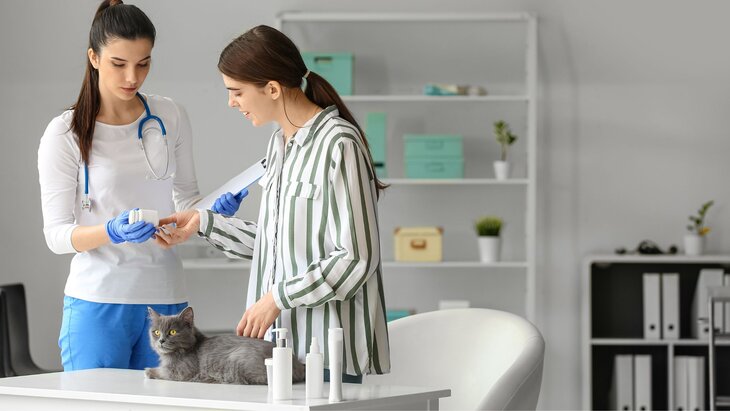 6 Essential Questions to Ask Veterinary Clients | Pawlicy Advisor