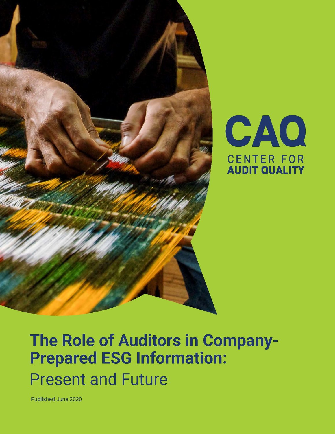 The Role of Auditors in Company-Prepared ESG Information: Present and ...