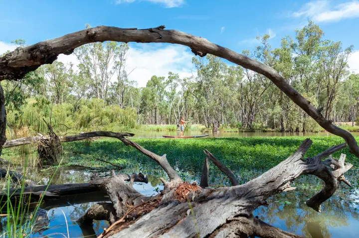 Narrandera NSW Info Guide - Attractions & Things To Do | Travel NSW