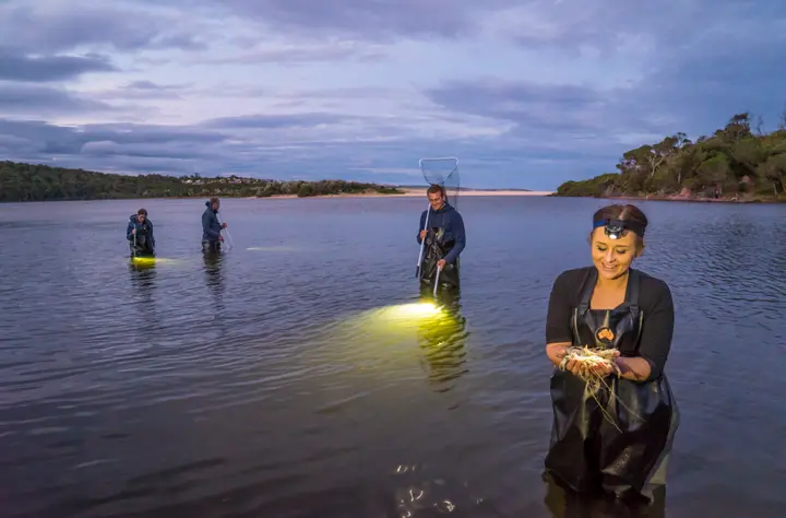 Bega information & attractions - Travel NSW: accommodation & visitor guide