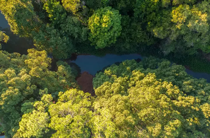 Byron Bay NSW Weather Forecast | Travel NSW