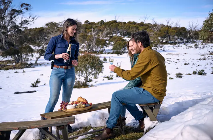 Perisher information & attractions - Travel NSW: accommodation ...