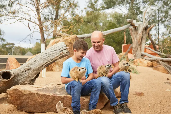 Barooga information & attractions - Travel NSW: accommodation & visitor ...