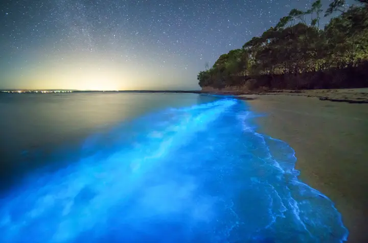 Vincentia NSW Info Guide - Attractions & Things To Do | Travel NSW