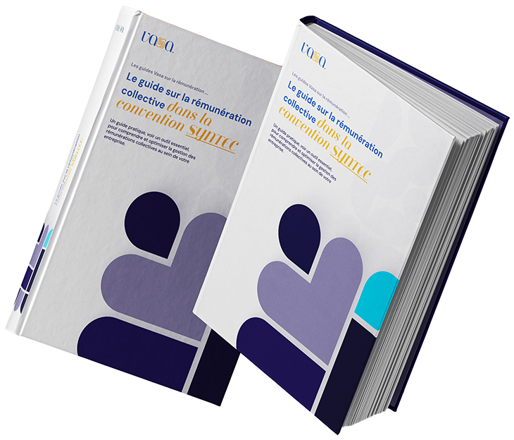 La classification et la grille des salaires SYNTEC 2024 | Vasa