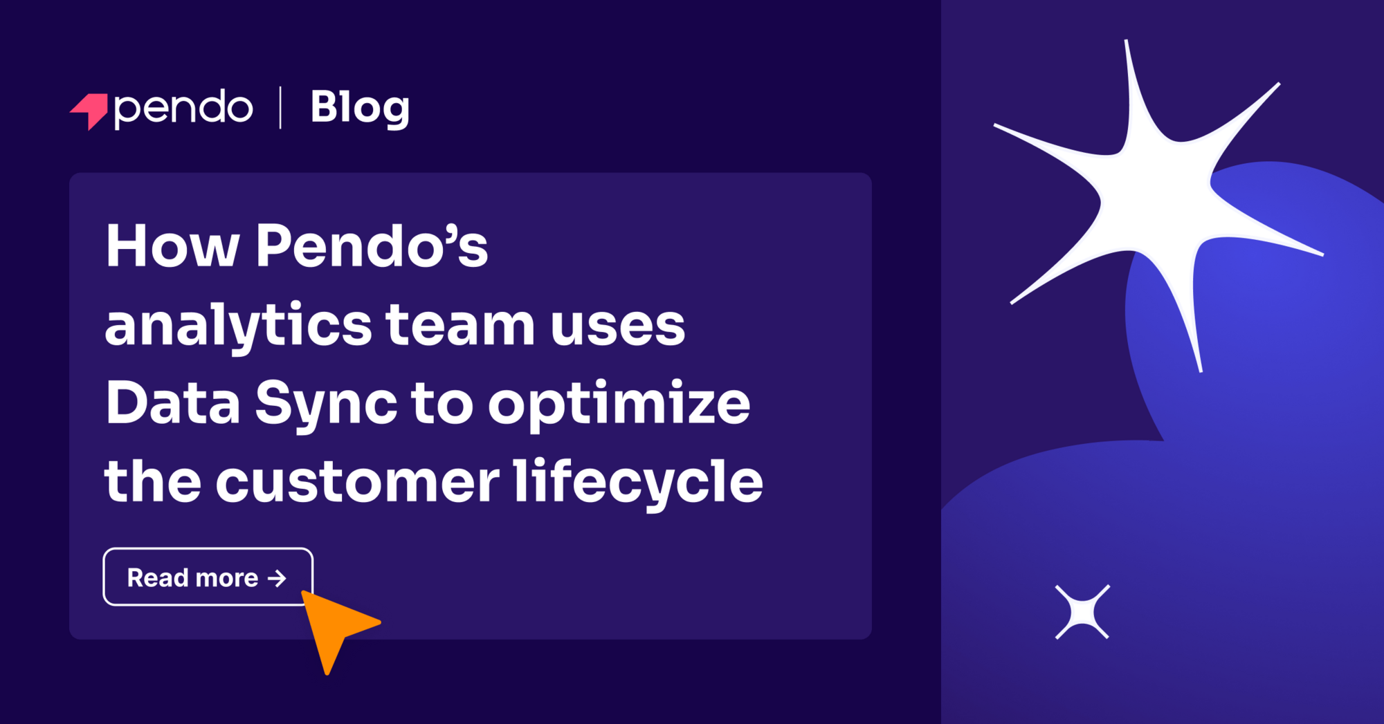How our analytics team uses Pendo Data Sync to optimize the customer ...