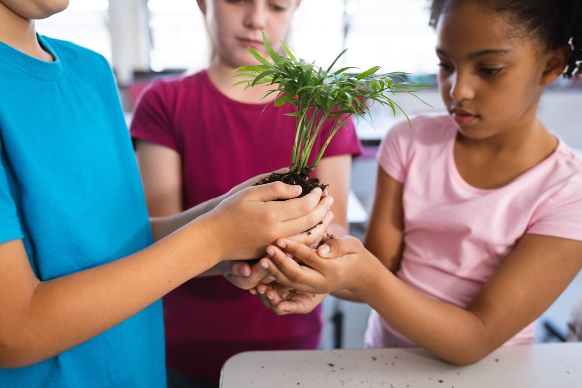Activity: Classroom Garden Planters | Glowforge