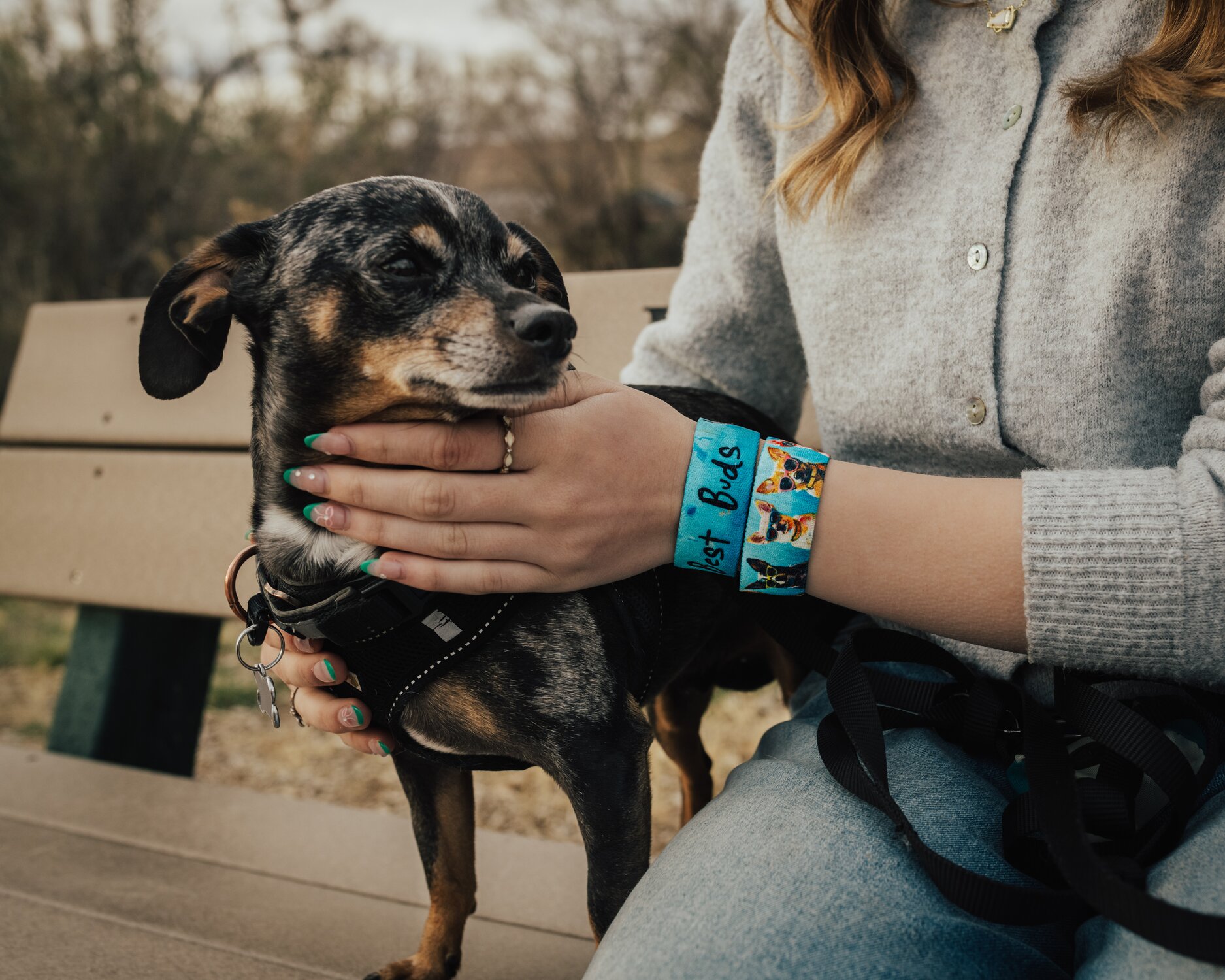 Dog Bracelets: Beautiful bracelets to celebrate your pups | ZOX
