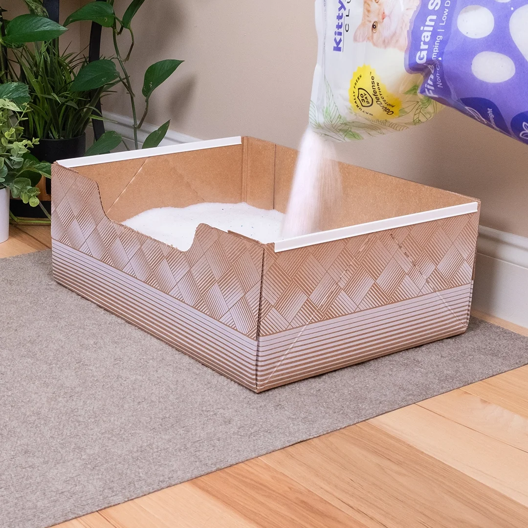 How To Assembly Your Box | Kitty Poo Club | Kitty Litter Subscription ...