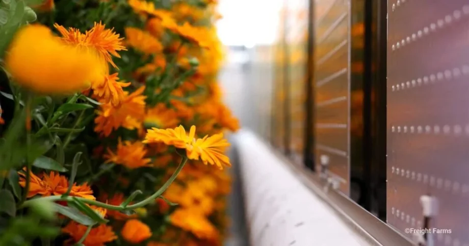 Starting a Shipping Container Farm, Garden or Greenhouse | Boxhub