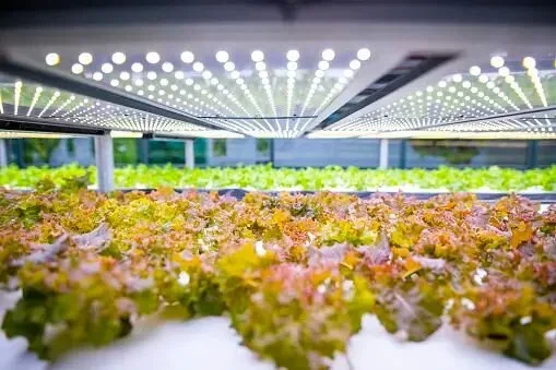 Starting a Shipping Container Farm, Garden or Greenhouse | Boxhub