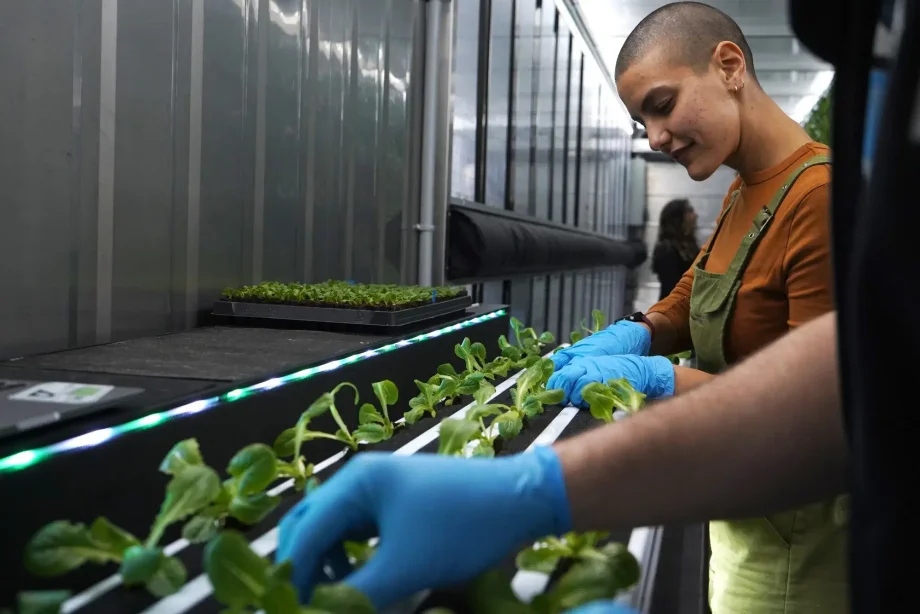 Starting a Shipping Container Farm, Garden or Greenhouse | Boxhub