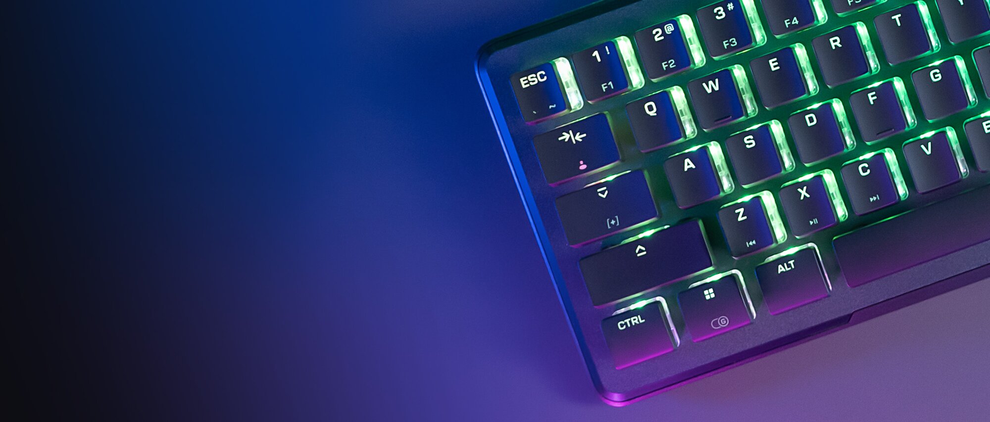 Comprehensive Guide to Roccat: The Ultimate Gaming Brand for High ...