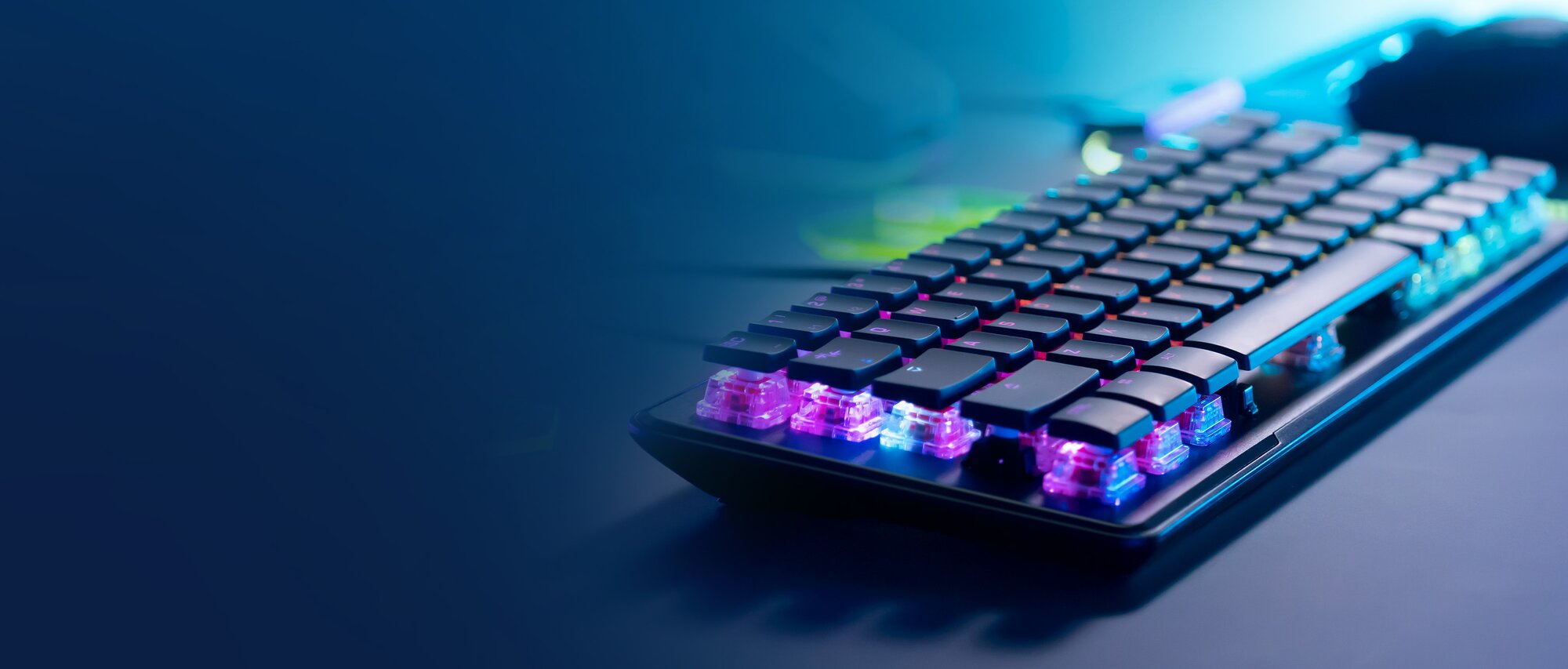 Comprehensive Guide to Roccat: The Ultimate Gaming Brand for High ...