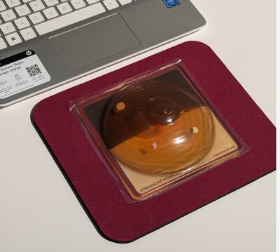 The MammaCare Foundation