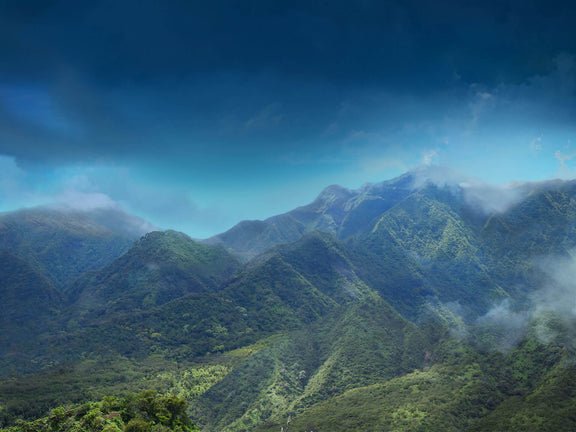 The Water' | FIJI Water