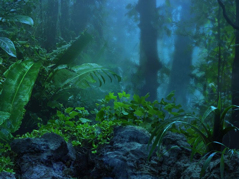 The Water' | FIJI Water