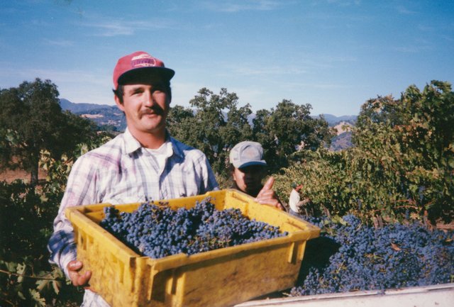 JUSTIN Winery | World-Class Wine from the Heart of California | JUSTIN ...