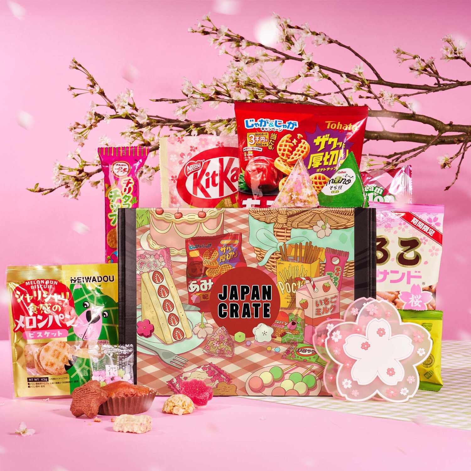 Japan Crate | Japanese Snack and Candy Subscription Box