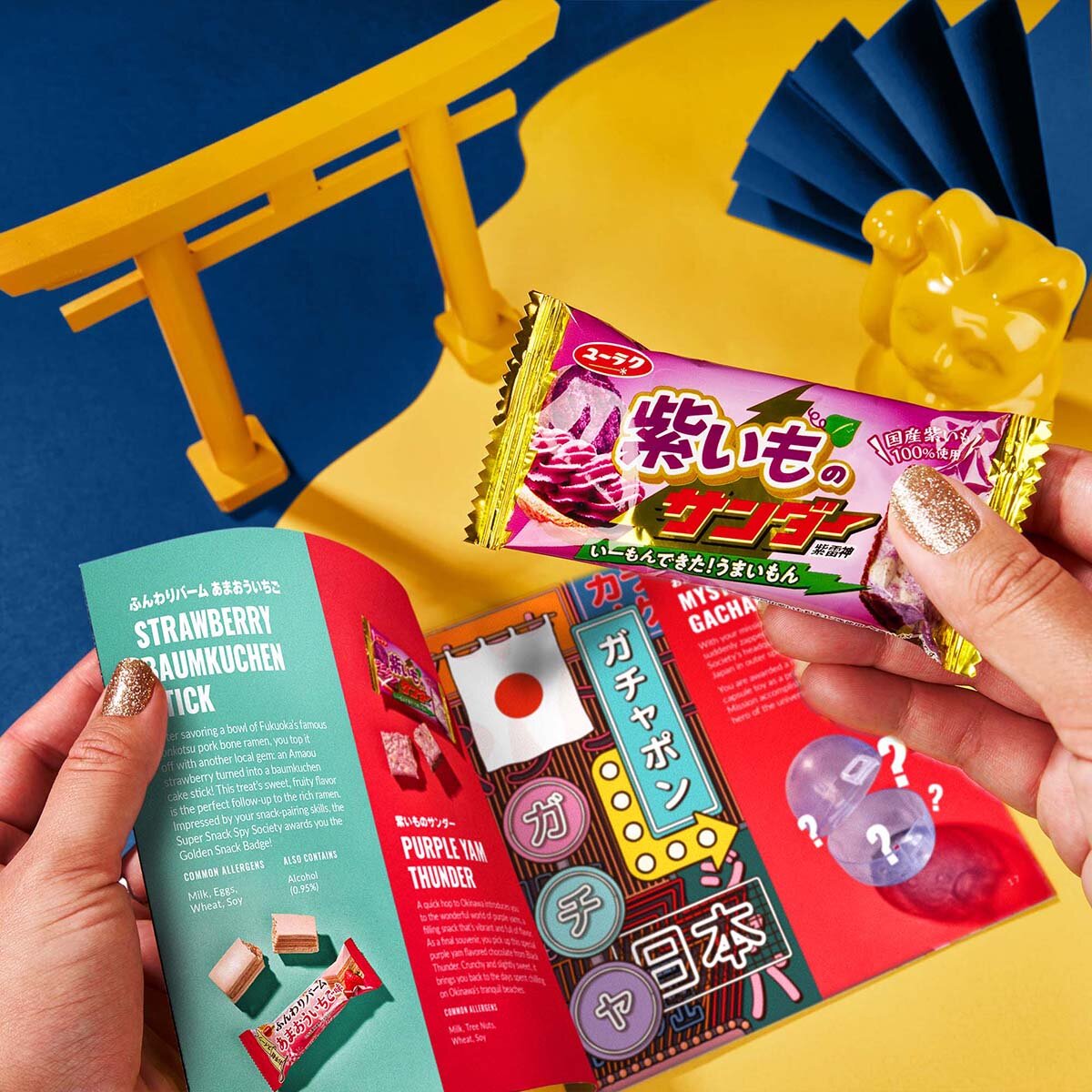 Japan Crate | Japanese Snack and Candy Subscription Box