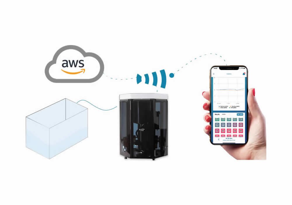 Pixel38: Web and Mobile Development | Social Media | Blockchain & Web3 ...