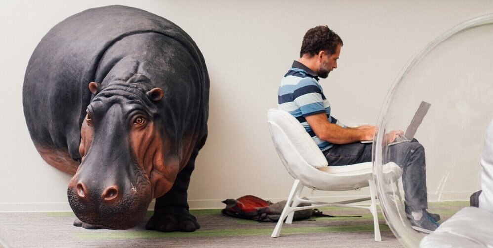 Careers | Hippo