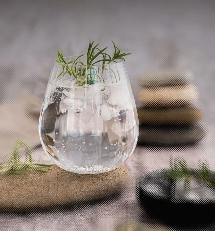 Case Study - Soda Stream