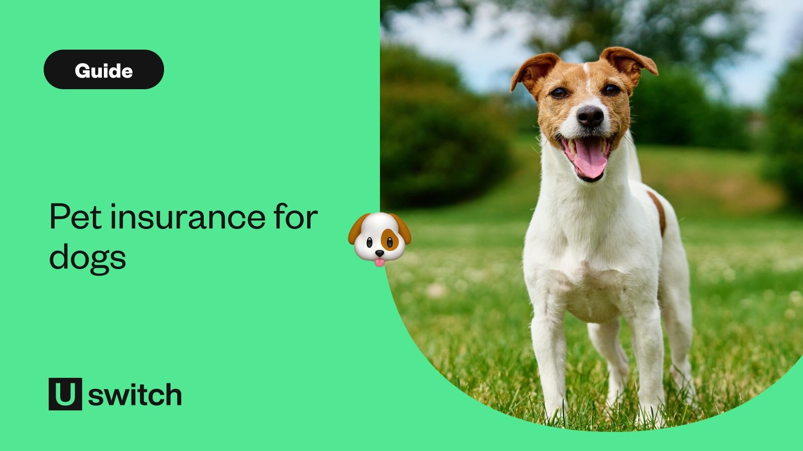 Dog Insurance: Compare Policies & Find Pet Insurance Cover - Uswitch