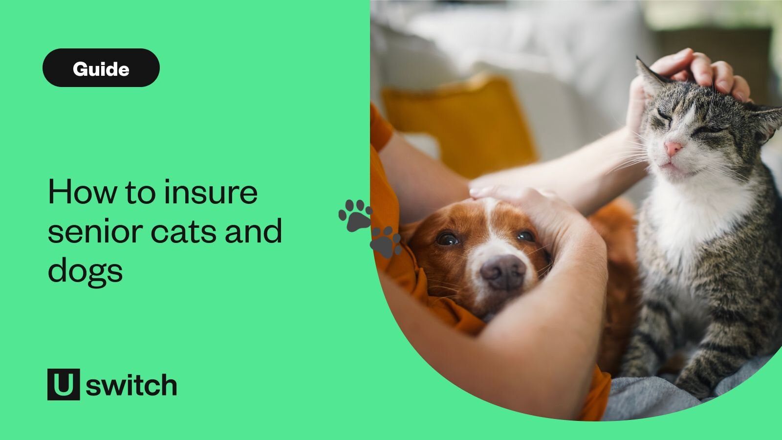 Older Pet Insurance: Compare Policies & Quotes - Uswitch