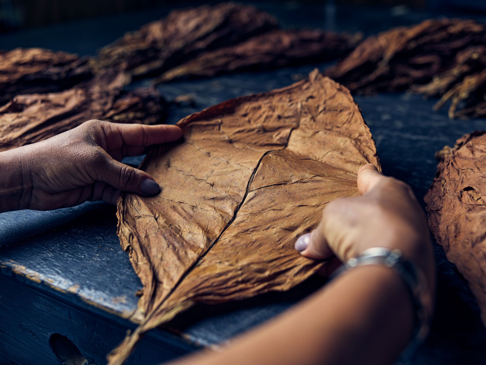 About the Davidoff Philosophy and Time beautifully filled | Davidoff of ...