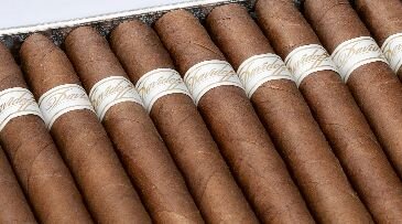Davidoff of Geneva | Premium Cigars shop | The best collections