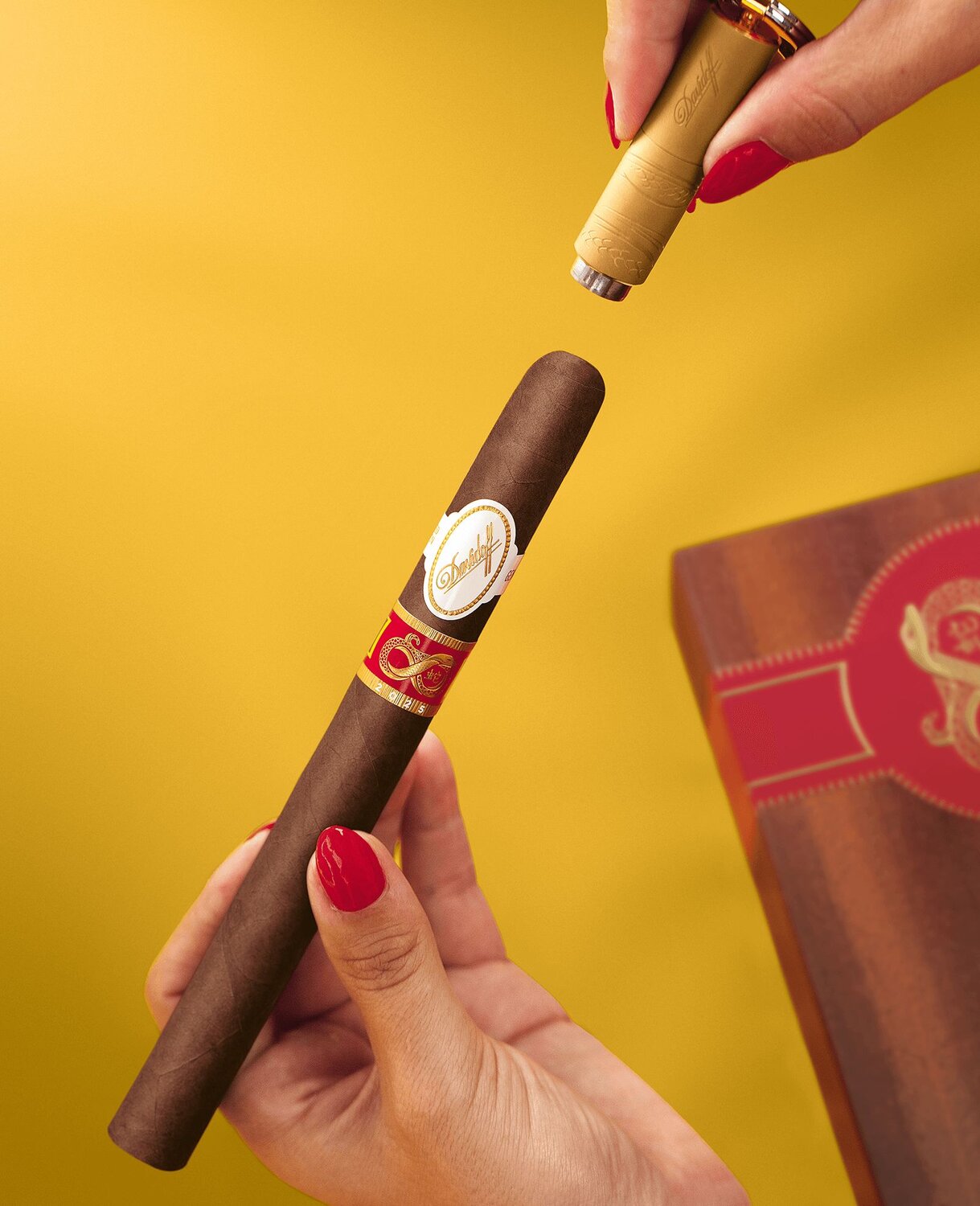 Official Davidoff of Geneva since 1911 - USA | Cigar Online Shop - Buy ...