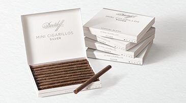 Davidoff of Geneva | Premium Cigars shop | The best collections