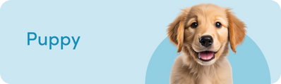 Dog Supplies - Pet Chemist Online