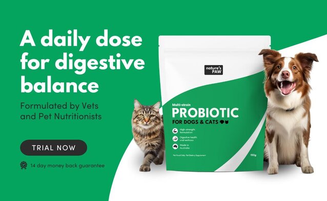 Nature's Paw Probiotic & Prebiotic: Pet Digestive Support - Pet Chemist Online