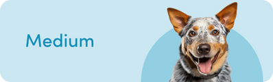 Dog Supplies - Pet Chemist Online