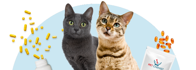 Cat - Pet Chemist Online