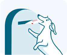 Online Vet Prescriptions | Pet Chemist - Pet Chemist Online