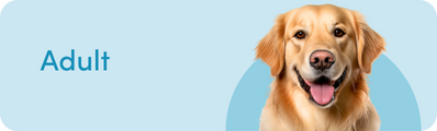 Dog Supplies - Pet Chemist Online