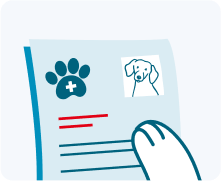 How to order medication - Pet Chemist Online