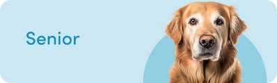 Dog Supplies - Pet Chemist Online