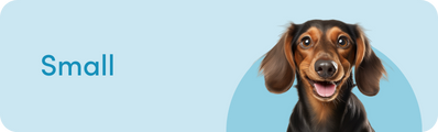 Dog Supplies - Pet Chemist Online
