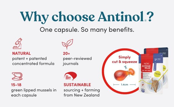 Antinol: Advanced Joint Health for Pets | Pet Chemist - Pet Chemist Online