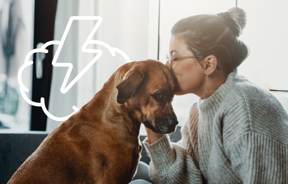 Dog Supplies - Pet Chemist Online