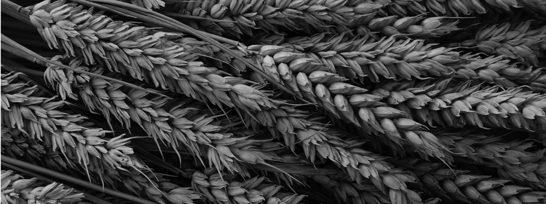 Commodity CFDs trading | Alpari