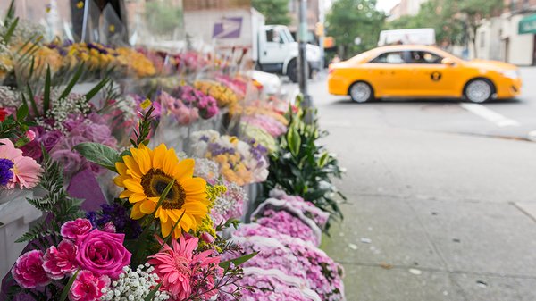 Manhattan Florist & Flower Delivery | Scotts Flowers NYC